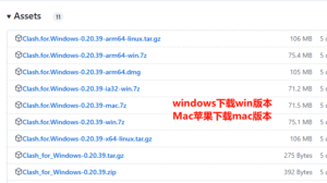 Clash for Windows 新手向安装实操指南｜2025 保姆级图解-Clash教程博客